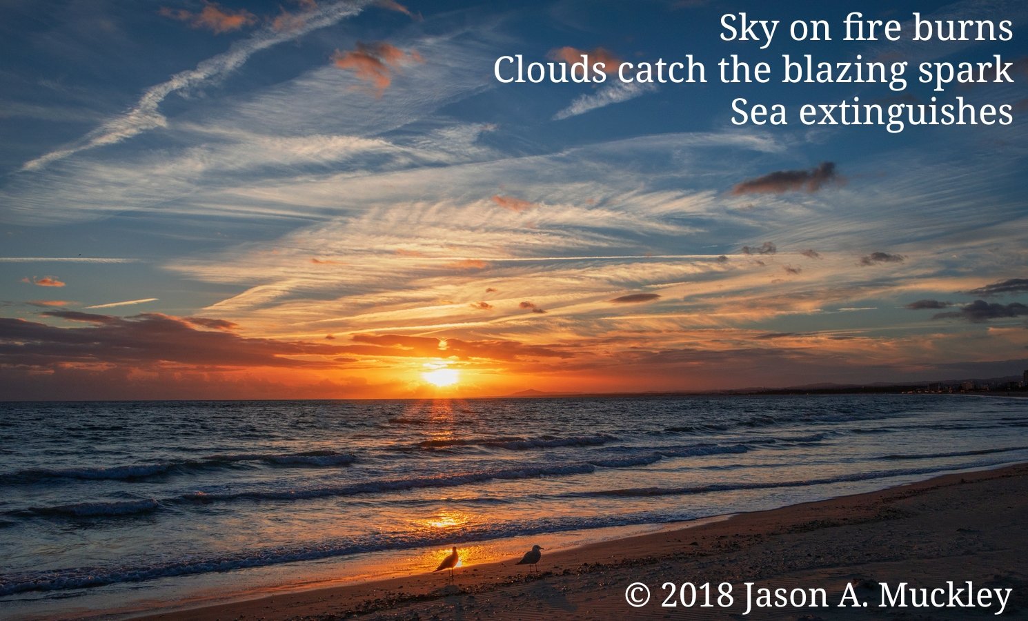 Haiku Poems About The Ocean Ocean #Haiku #Poetry – Poems For